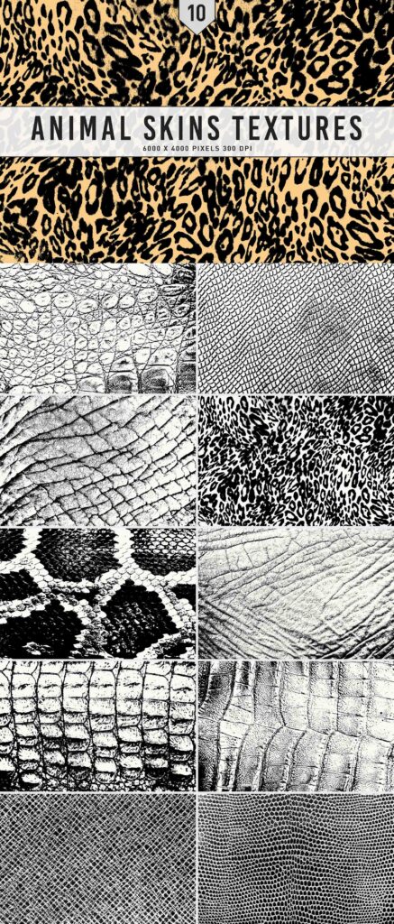 Animal Skins Textures – MasterBundles