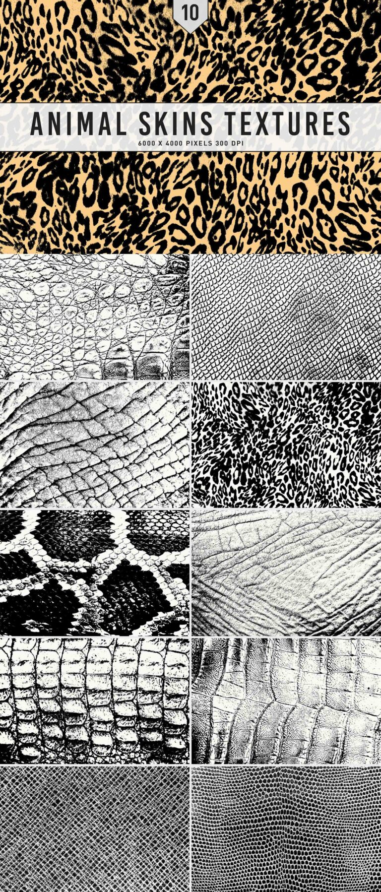 Animal Skins Textures – MasterBundles