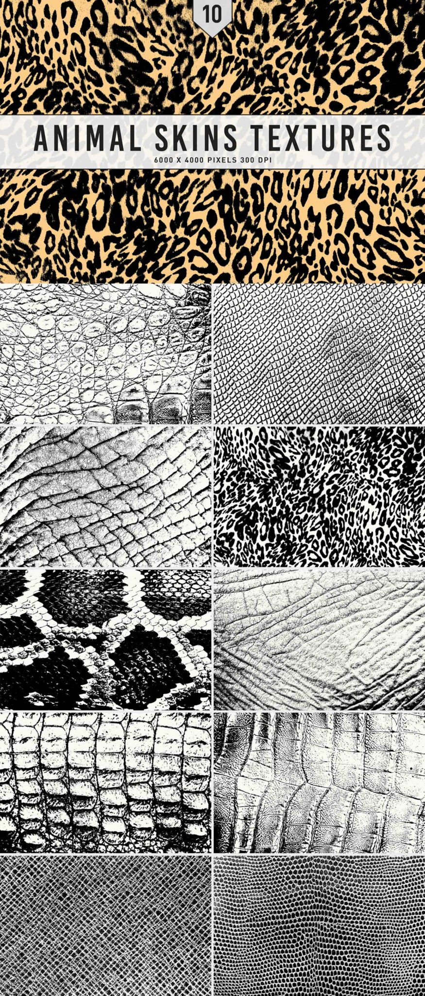 Animal Skins Textures – MasterBundles