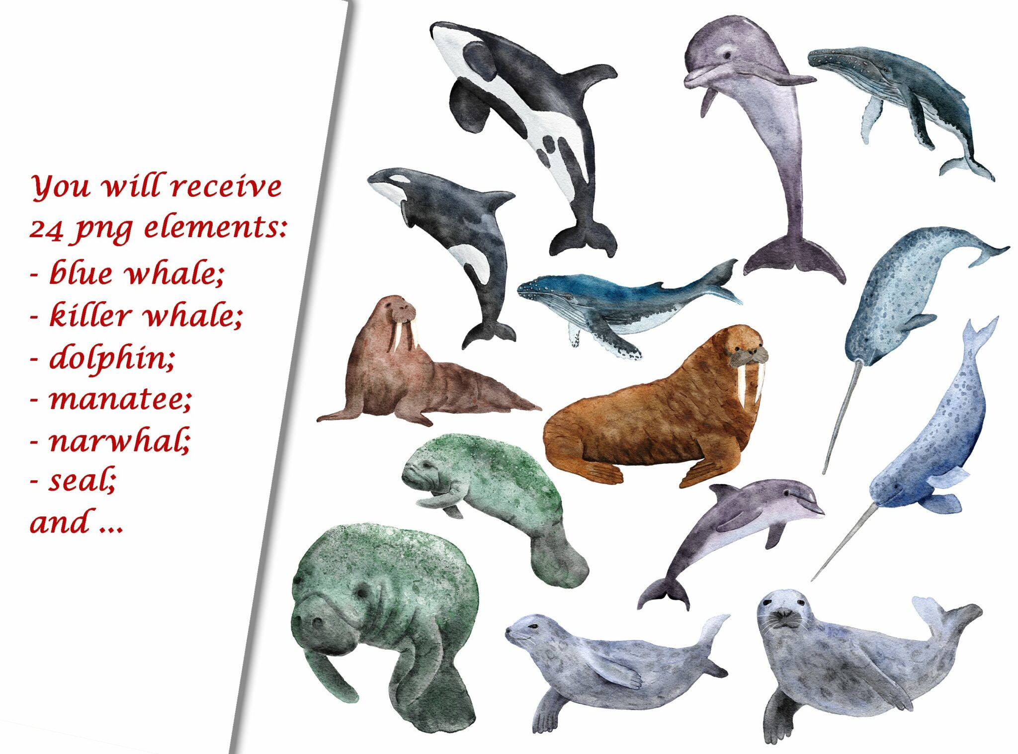 Sea Animals Clipart & Patterns – MasterBundles