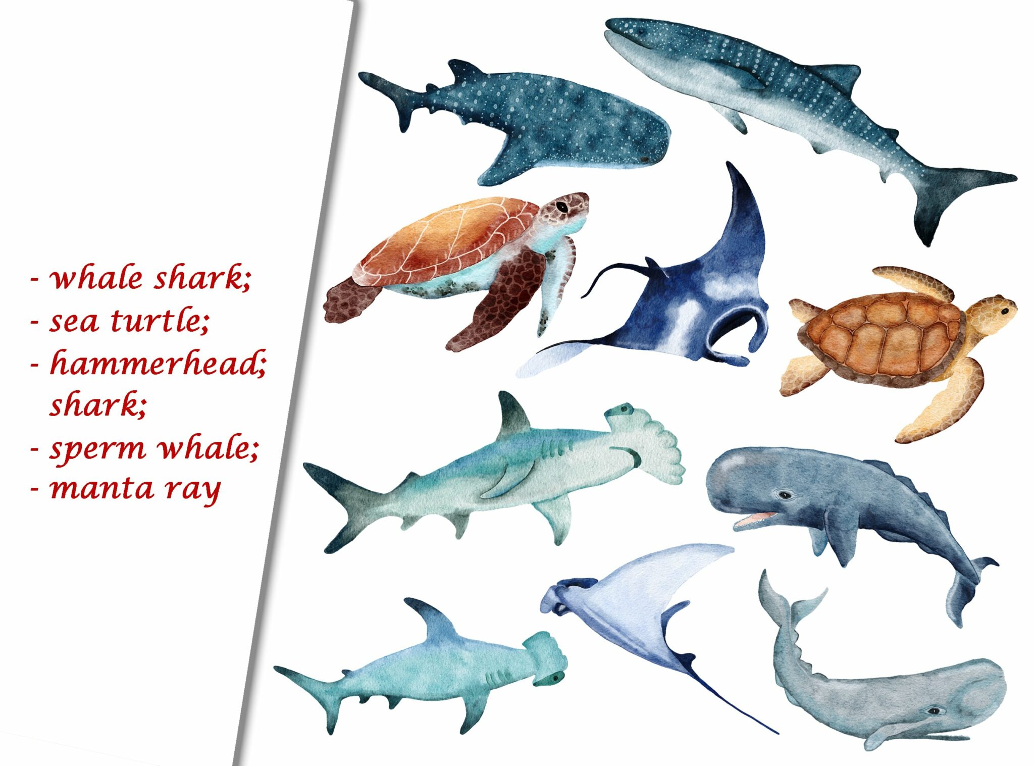 Sea Animals Clipart & Patterns – MasterBundles