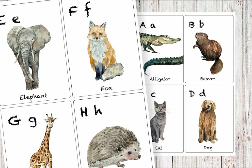 Watercolor ABC Animals Flashcards – MasterBundles