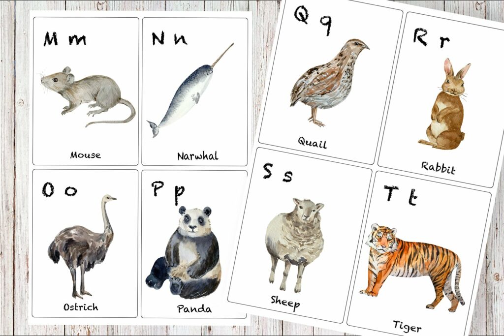 Watercolor ABC Animals Flashcards – MasterBundles
