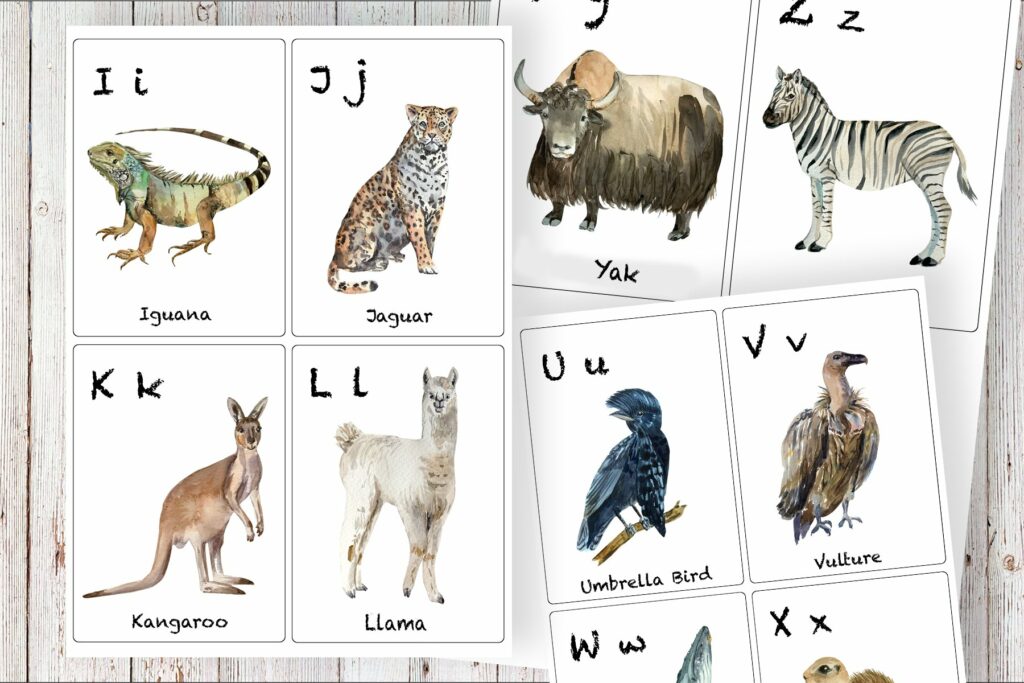 Watercolor ABC Animals Flashcards – MasterBundles