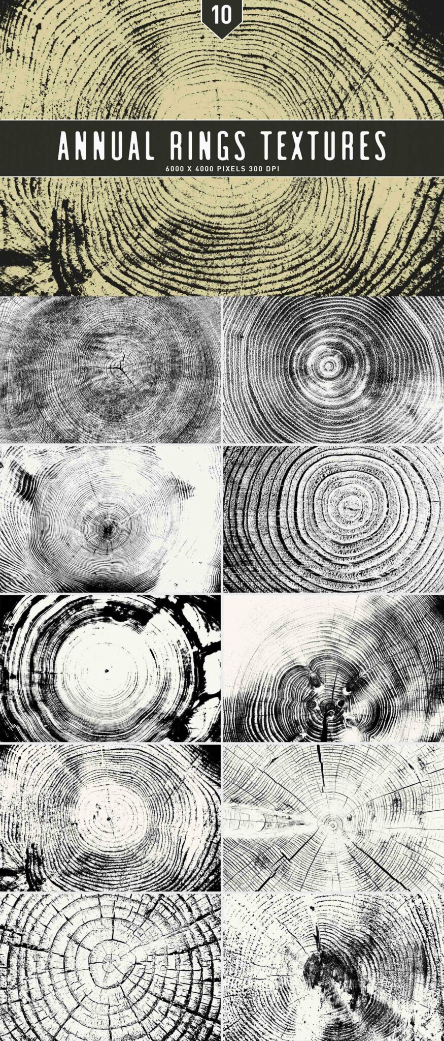 Annual Rings Textures – MasterBundles