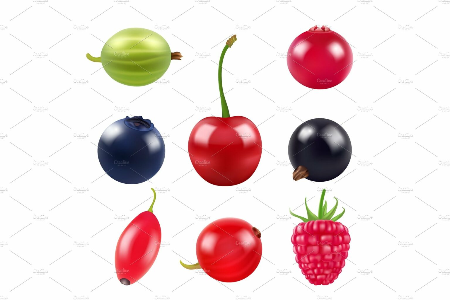 Realistic pictures of berries – MasterBundles