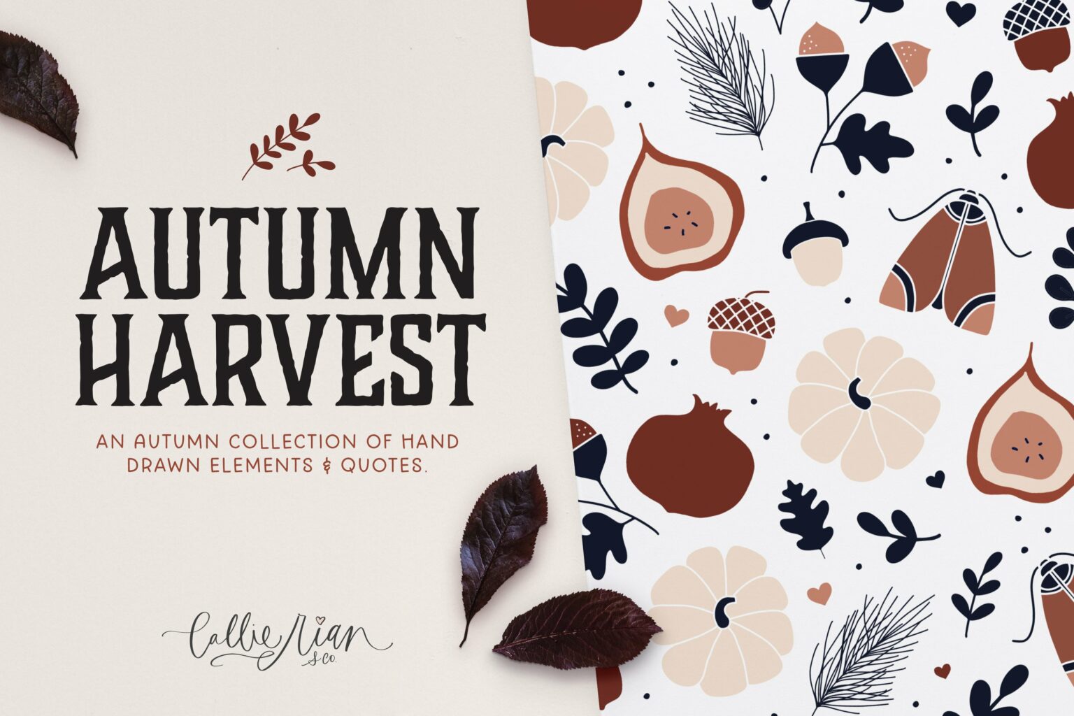 Autumn Harvest Lettering & Elements – MasterBundles