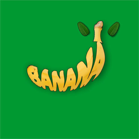 Bana Logo Vector Design - MasterBundles