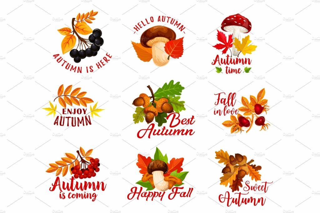 Autumn leaf, acorn, berry, mushroom – MasterBundles