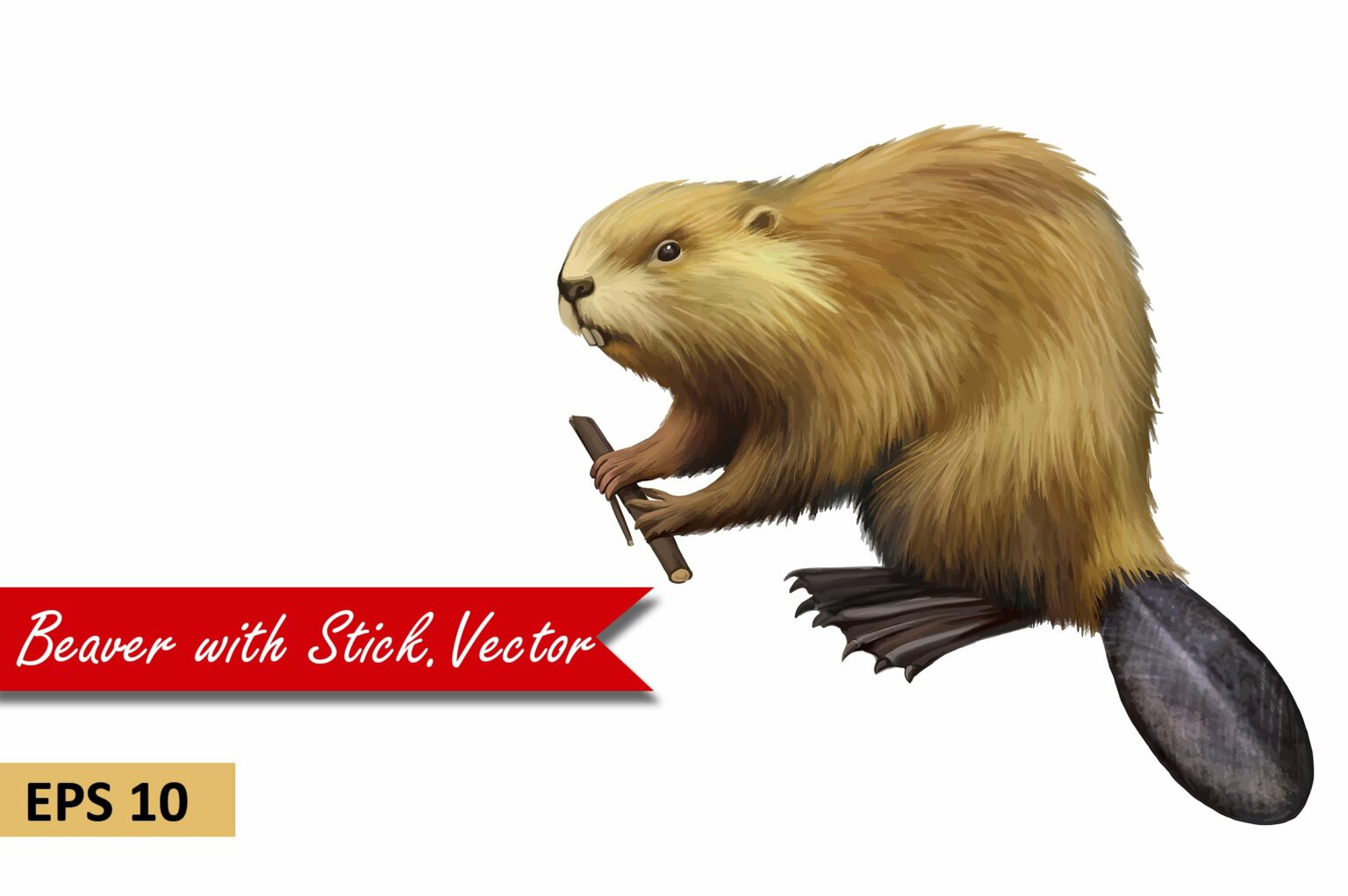 Beaver holding branch. Vector – MasterBundles