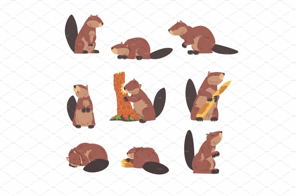 Cute Brown Beavers Set, Wild Rodent – MasterBundles