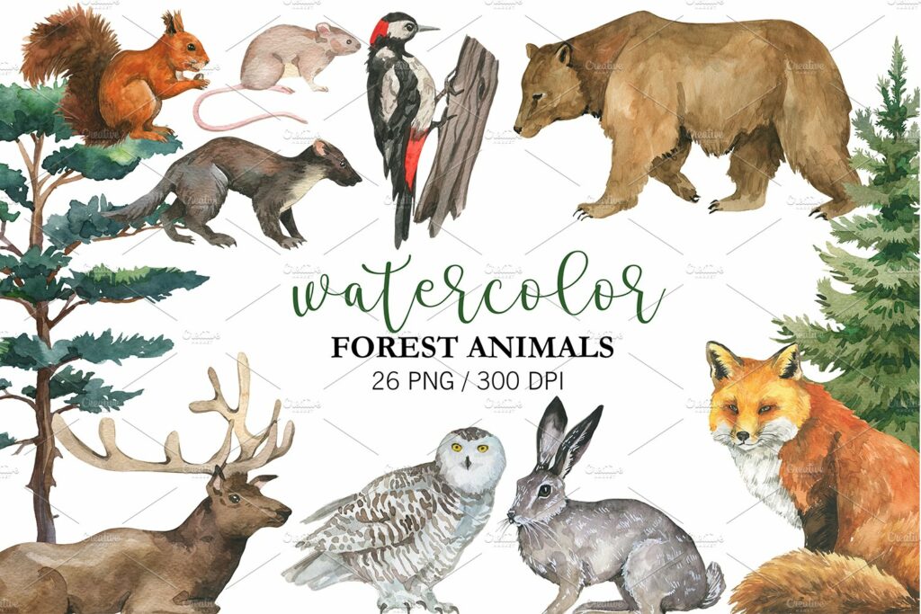 Watercolor Forest Animal Clipart PNG – MasterBundles