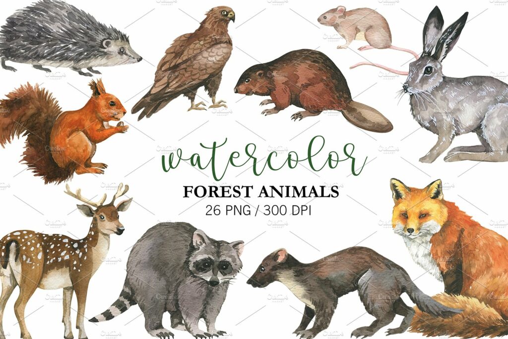 Watercolor Forest Animal Clipart PNG – MasterBundles