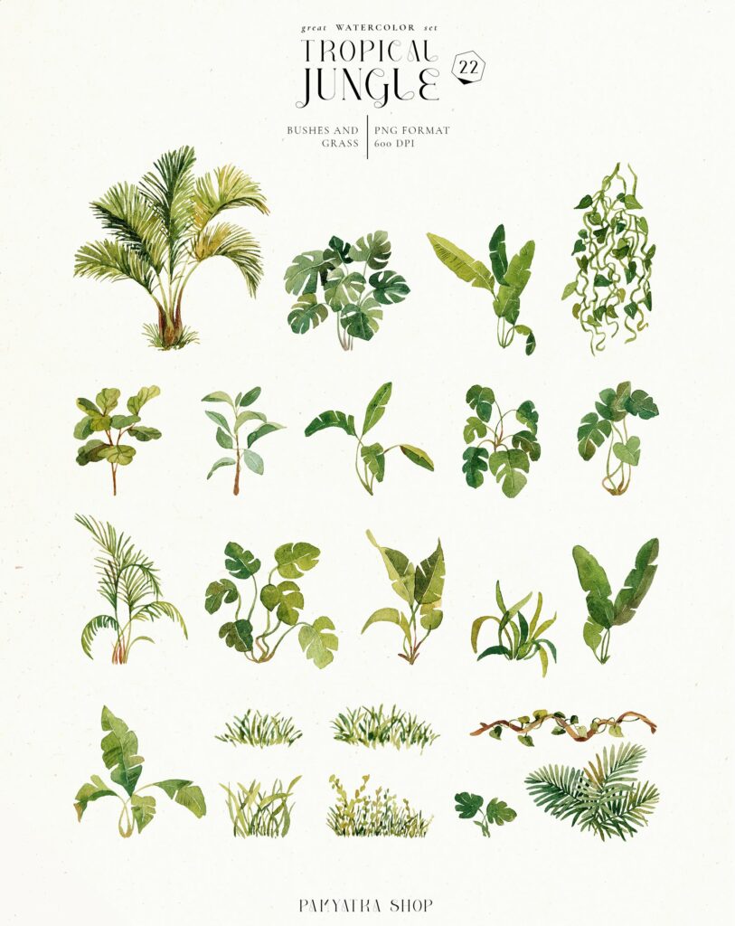 Tropical jungle - watercolor set – MasterBundles