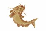 Catfish Mud Cat Going Up Drawing – MasterBundles