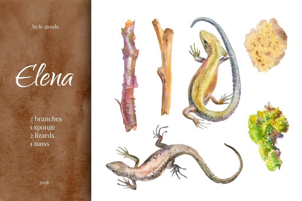 Elena. 26 Watercolor Elements Set – MasterBundles