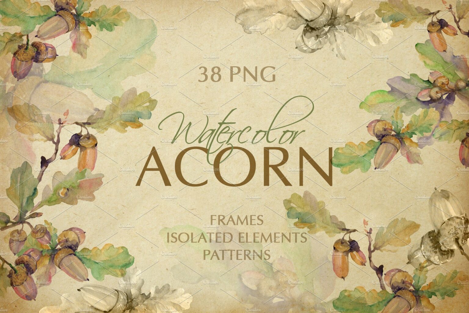 Acorn Watercolor png – MasterBundles