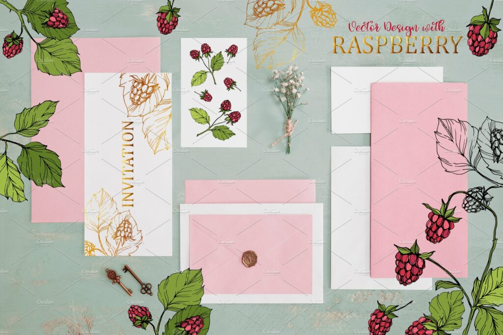 Raspberry Vector Collection – MasterBundles