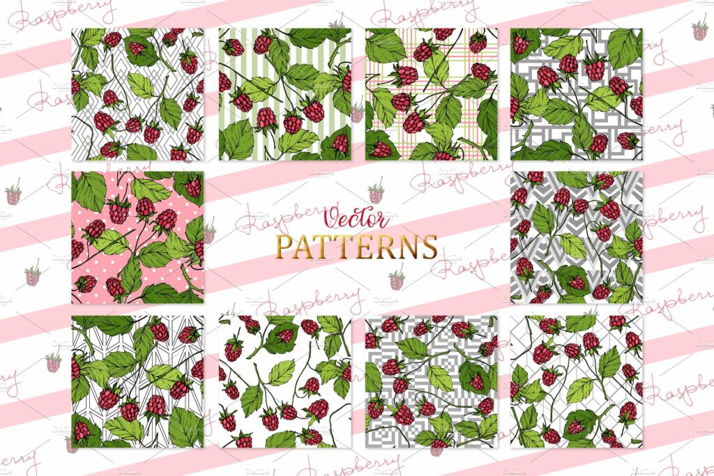 Raspberry Vector Collection – MasterBundles