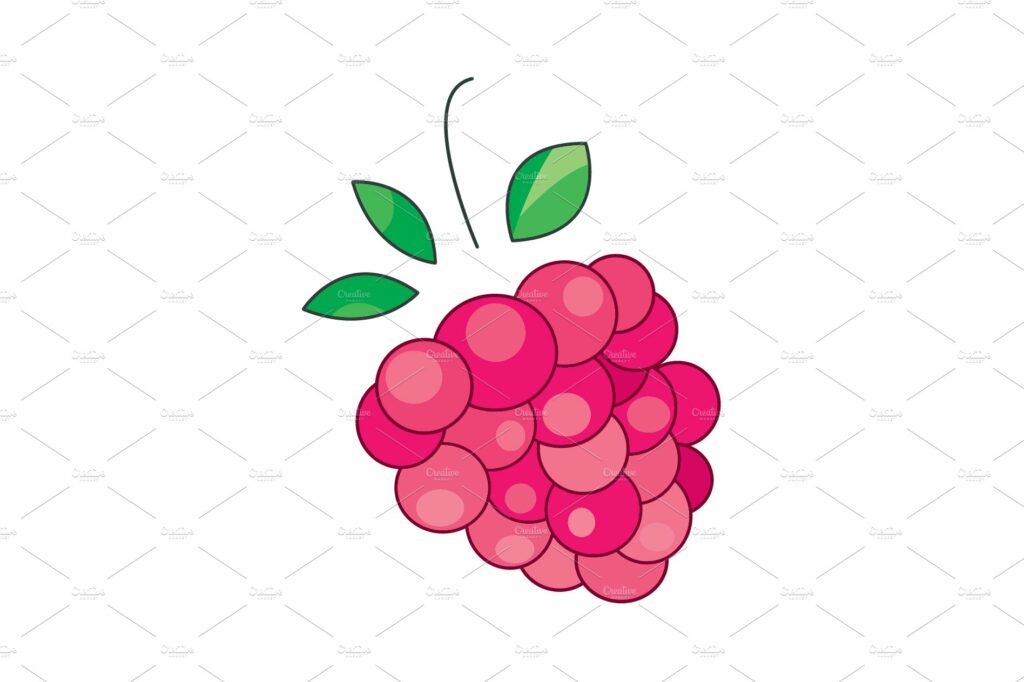 vector illustration. Raspberries – MasterBundles