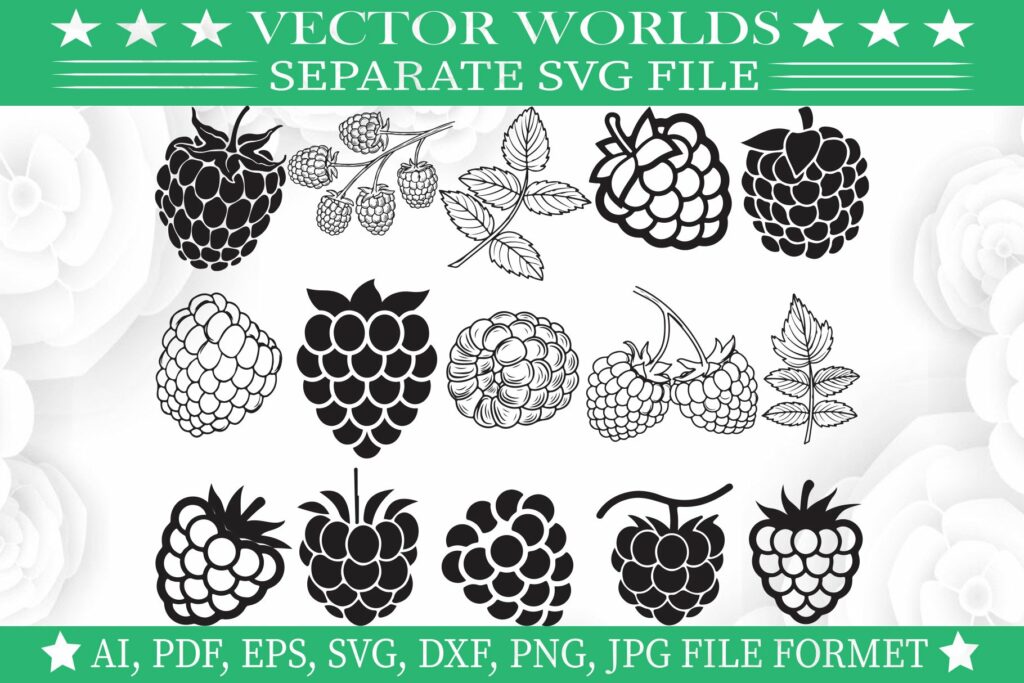 Raspberry Svg, Raspberry's Svg – MasterBundles