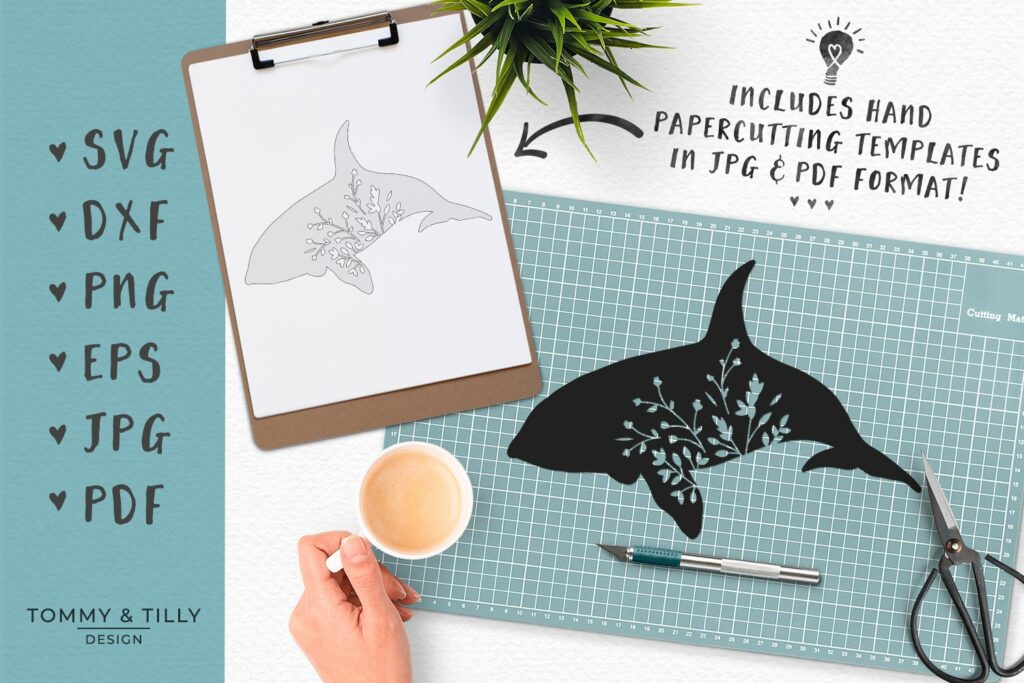 Orca Silhouette - SVG & Clipart – MasterBundles