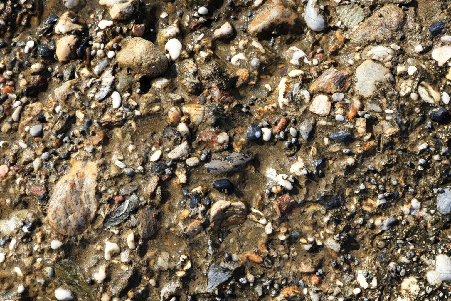 Weathered sea concrete texture – MasterBundles