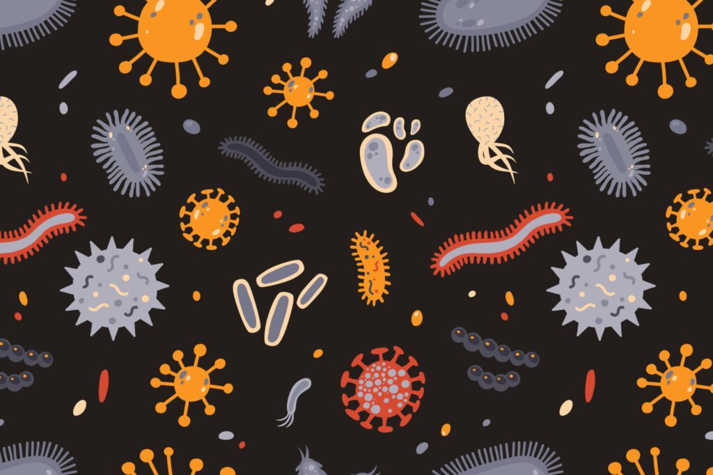 Microbes set and seamless – MasterBundles