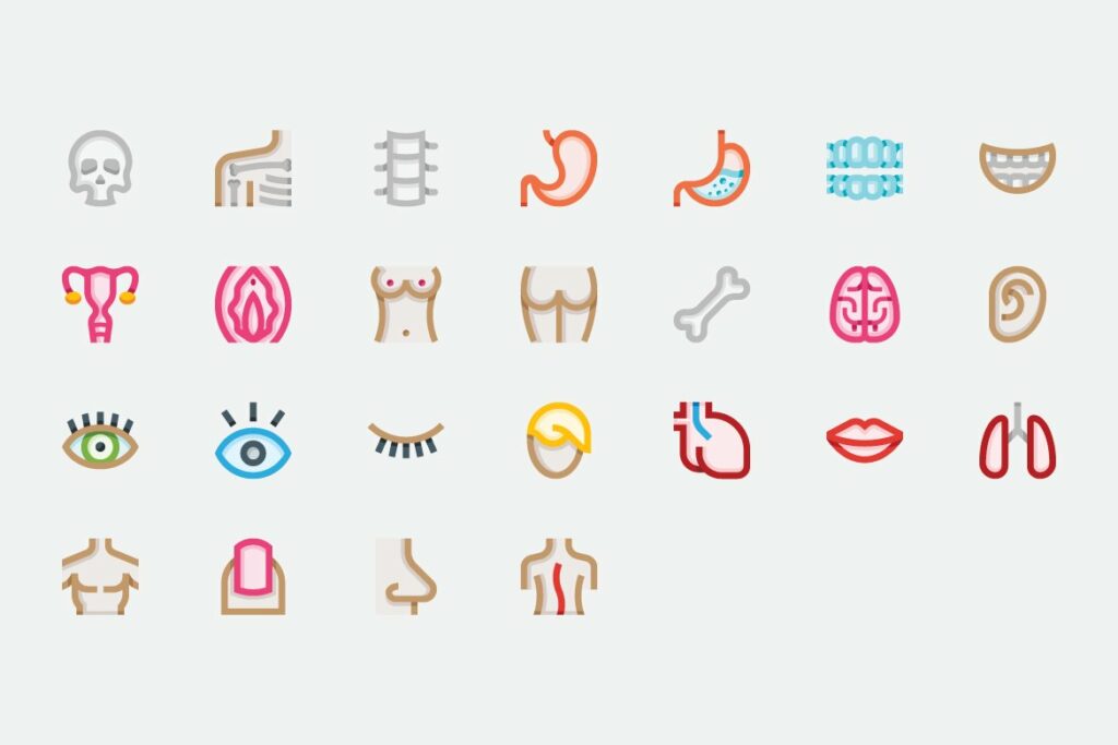 Basicons / People / Anatomy – MasterBundles
