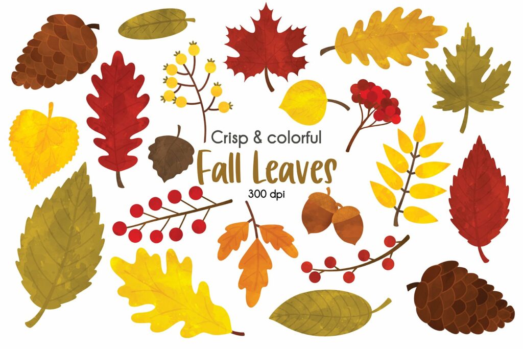 Fall Leaves Clipart – MasterBundles