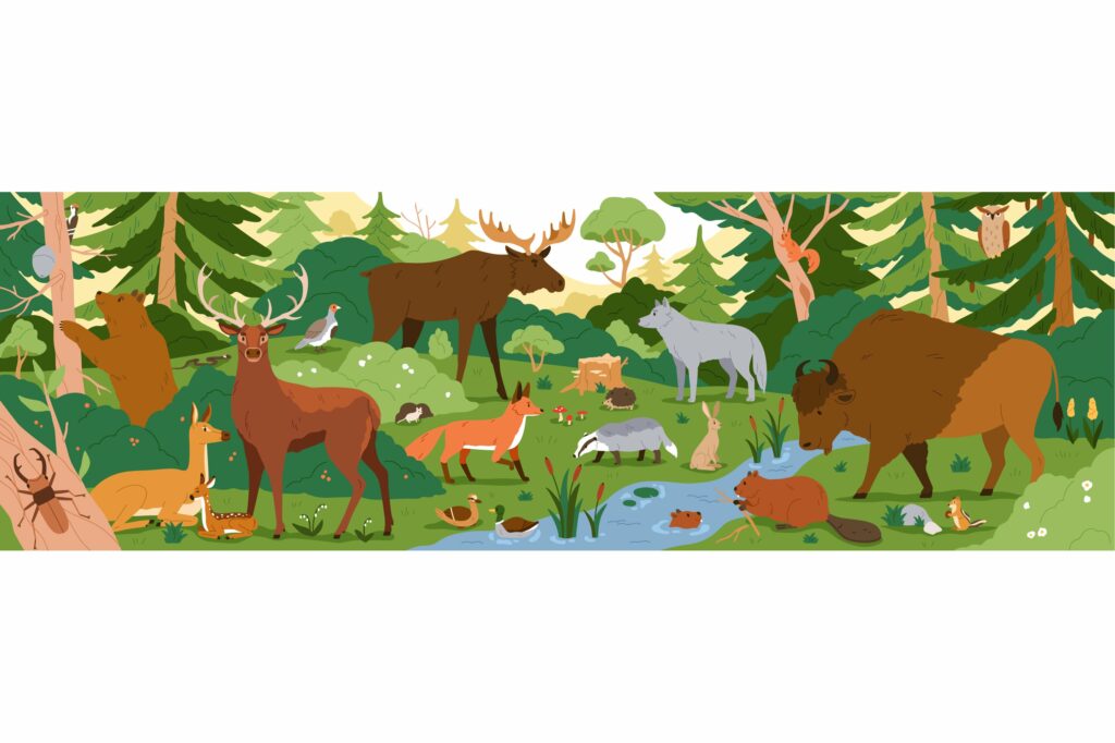 Forest animals in wild nature – MasterBundles