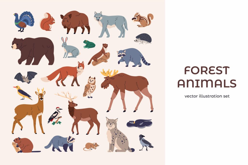 Wild forest animals and birds set – MasterBundles