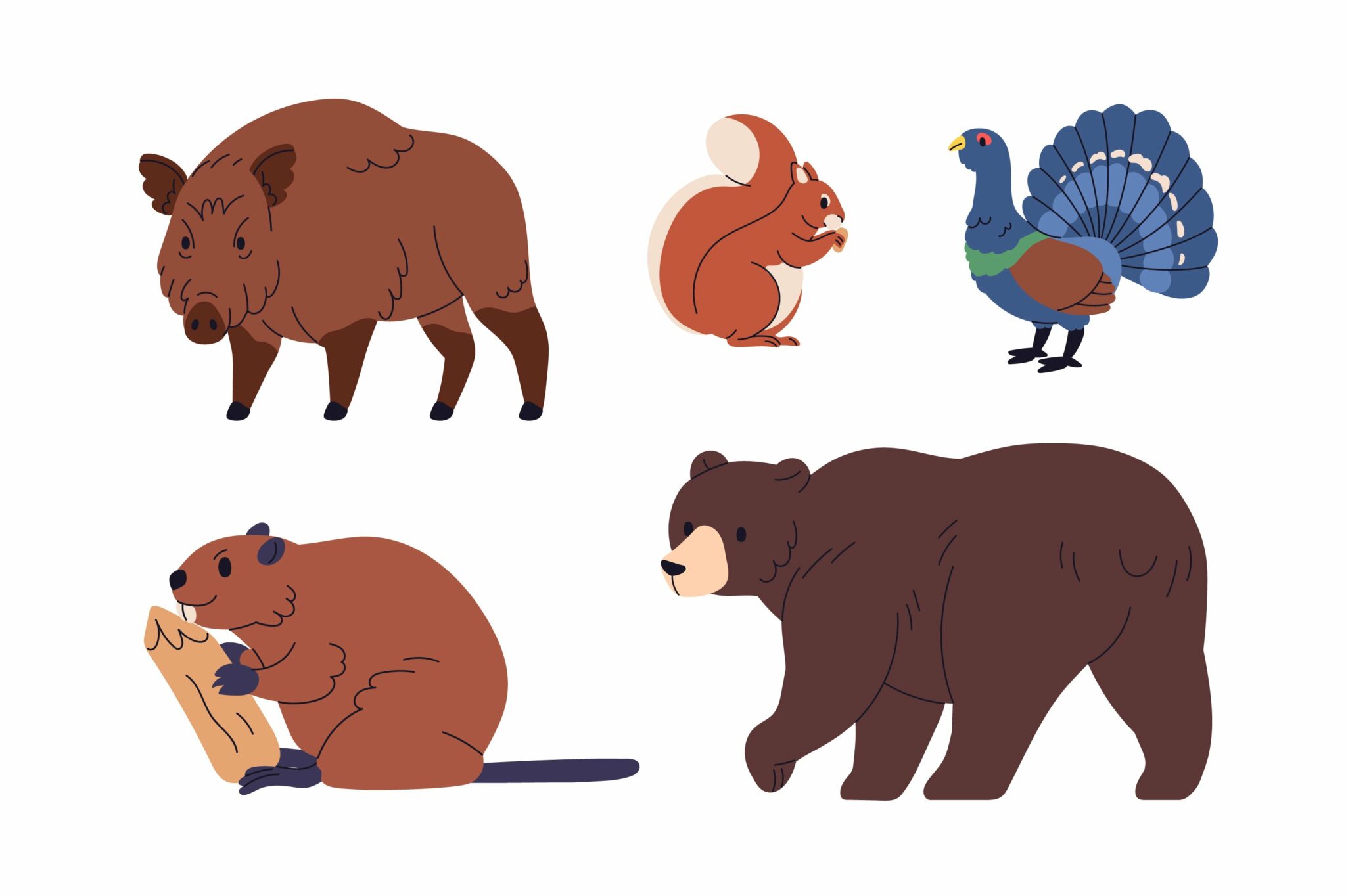 Wild forest animals and birds set – MasterBundles