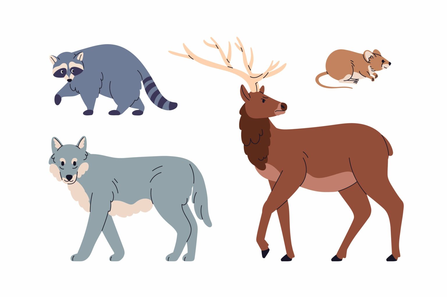 Wild forest animals and birds set – MasterBundles