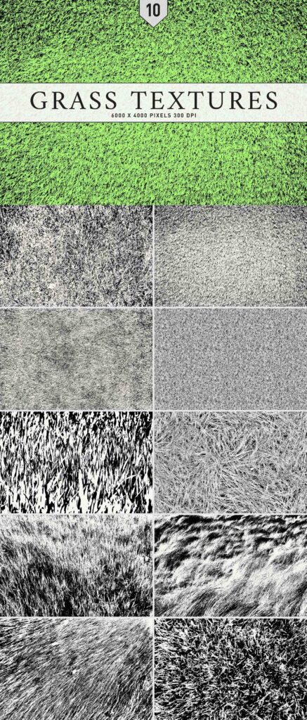 Grass Textures – MasterBundles