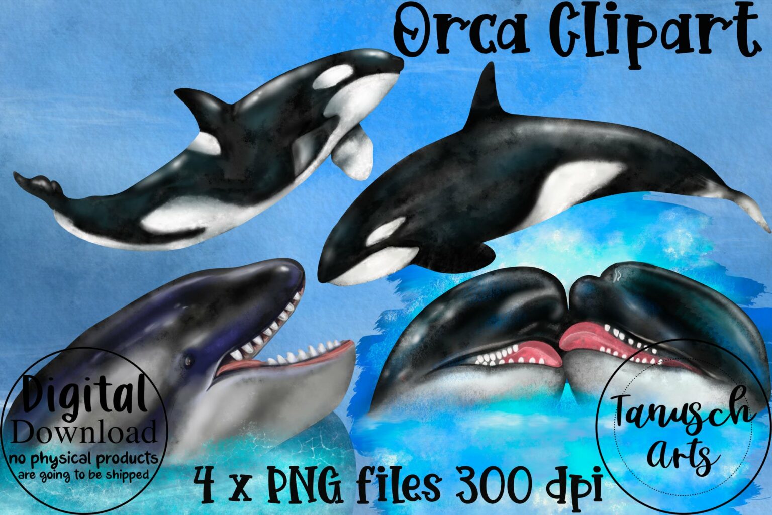 ORCA Clipart Lovely Killer Whale – MasterBundles