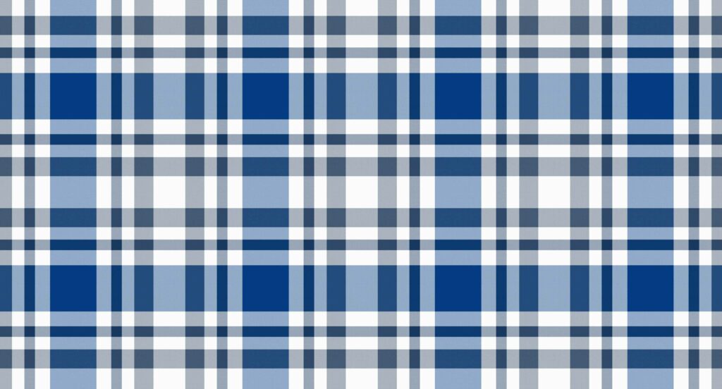 Plaid pattern. Flannel fabric texture - MasterBundles