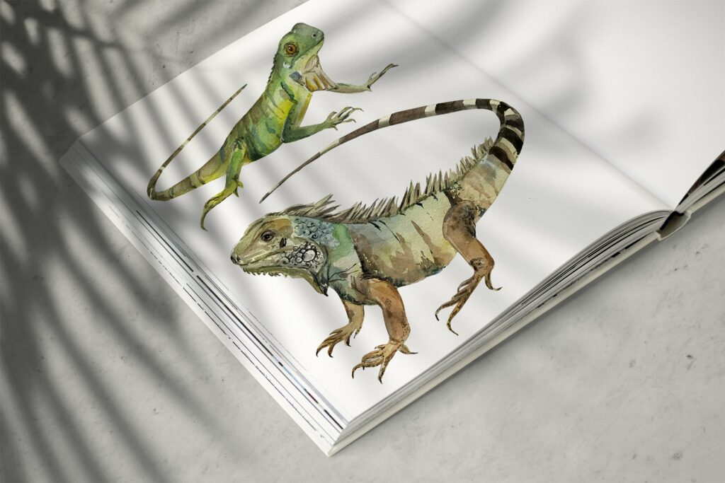 Watercolor Iguanas Clip Art – MasterBundles