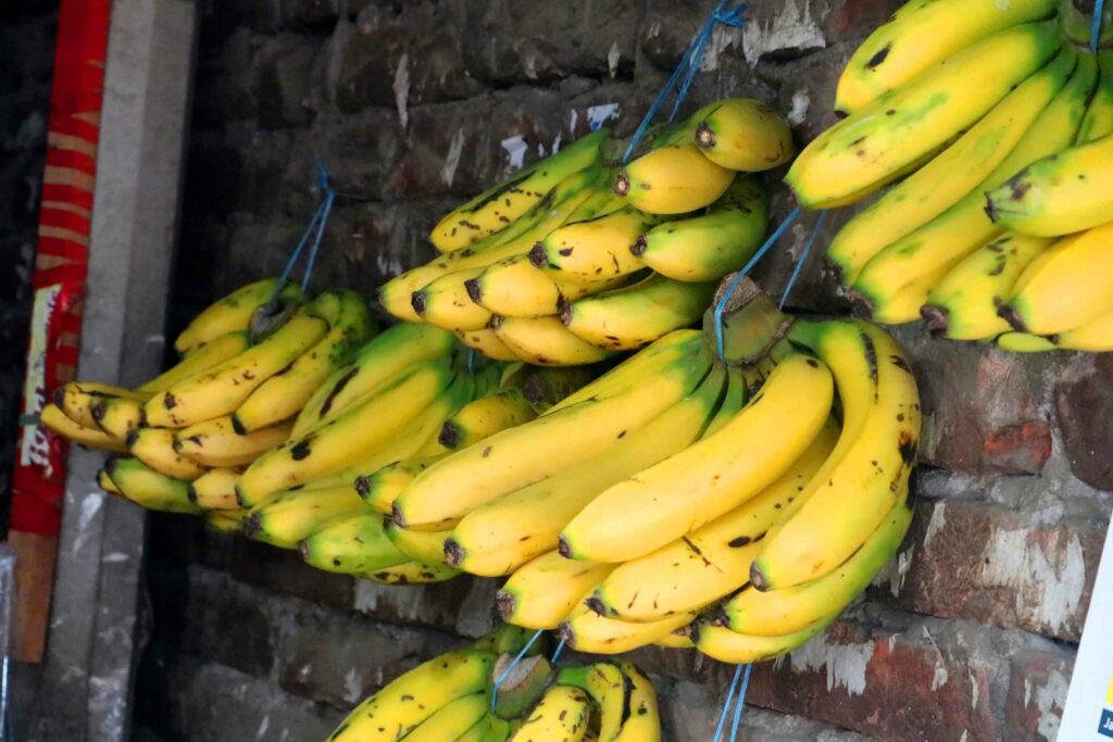 kola Photography in Bangladesh - MasterBundles