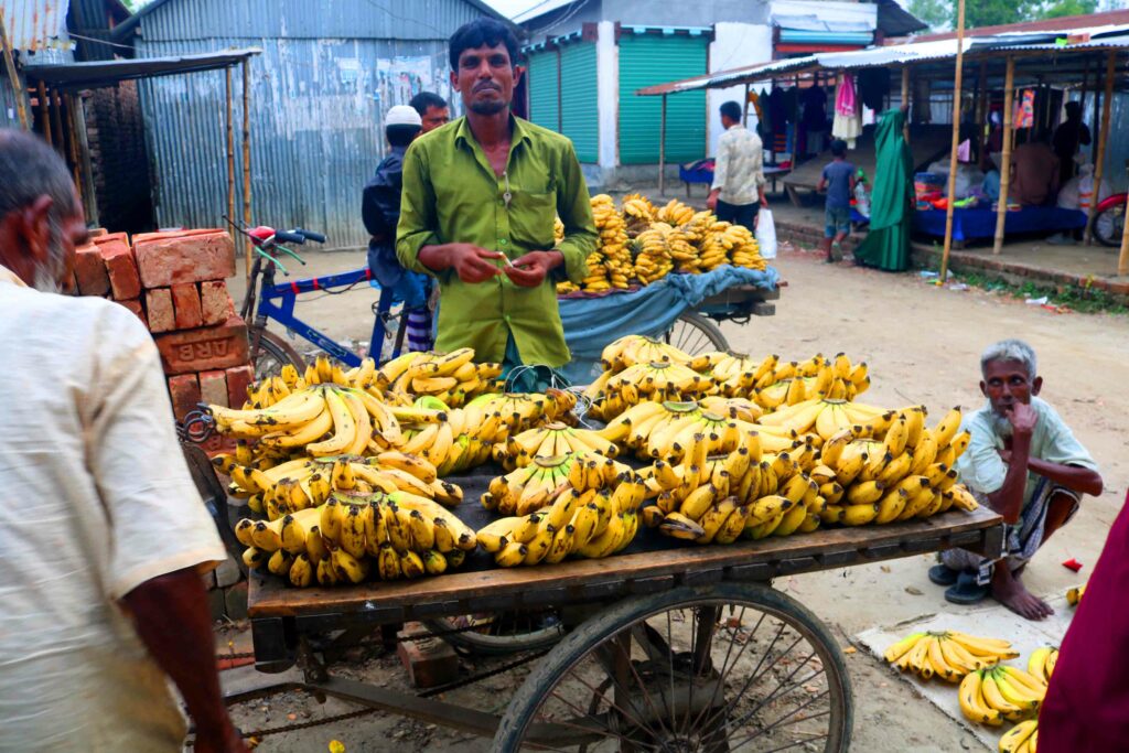 kola Photography in Bangladesh - MasterBundles