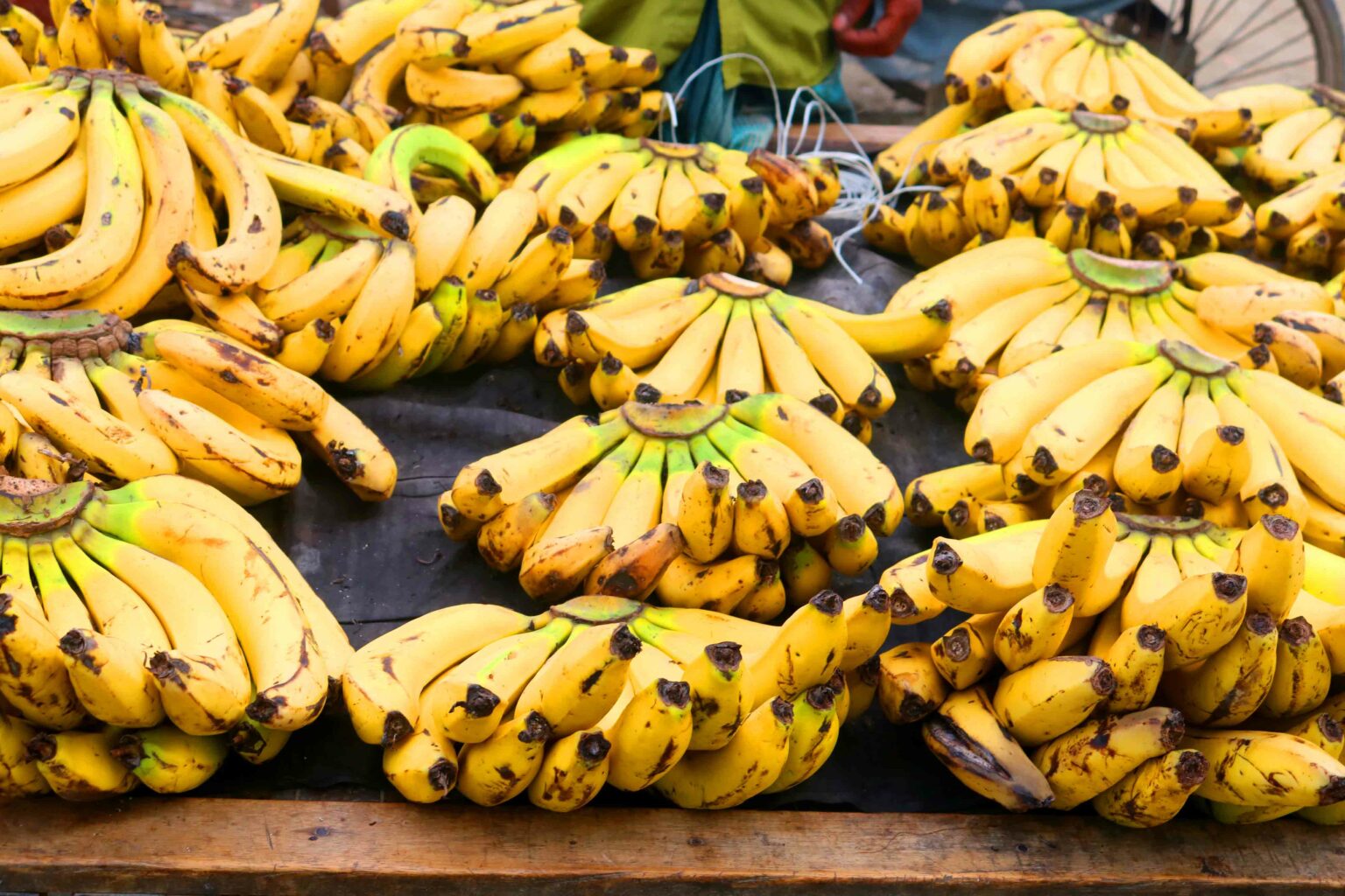 kola Photography in Bangladesh - MasterBundles