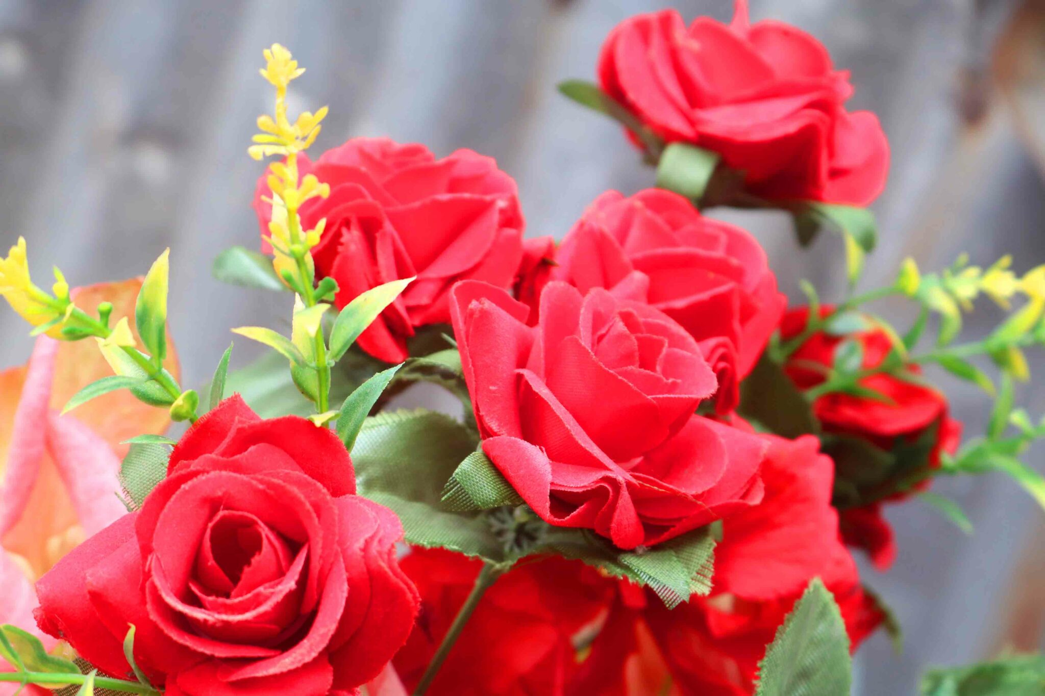 Natural Flower Photography in Bangladesh - MasterBundles