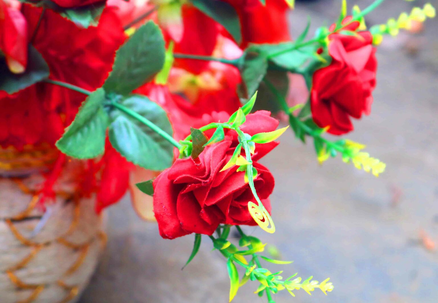 Natural Flower Photography in Bangladesh - MasterBundles