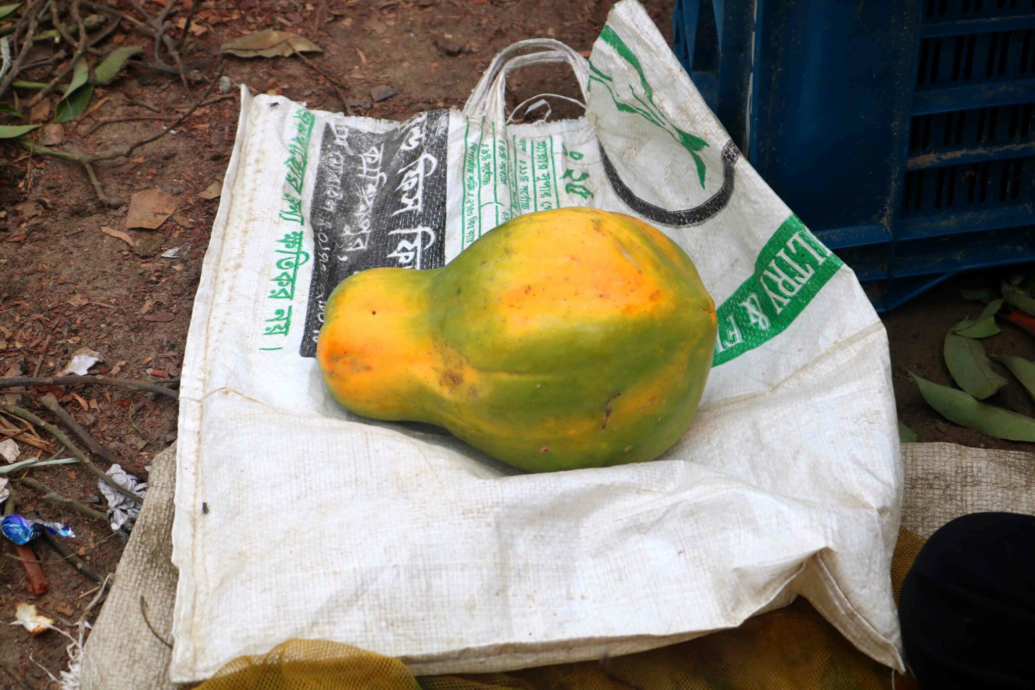 Fruits Photography in Bangladesh - MasterBundles