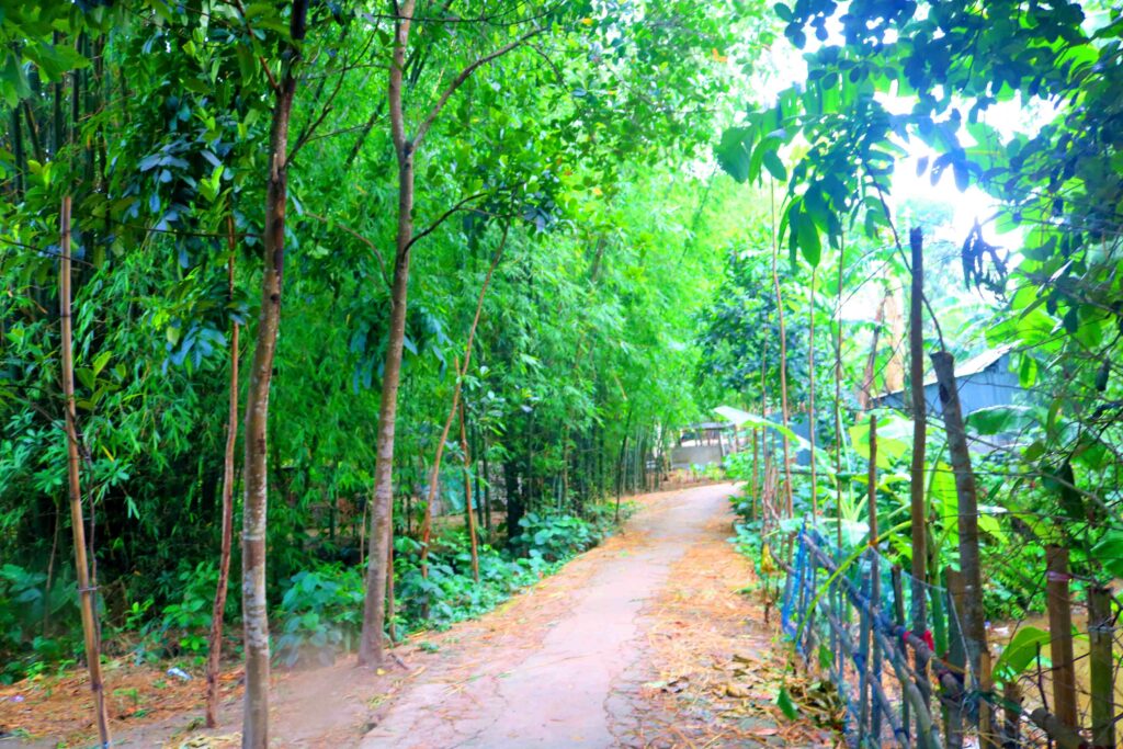 Ghar Tree village people & roads stock photos in Bangladesh - MasterBundles