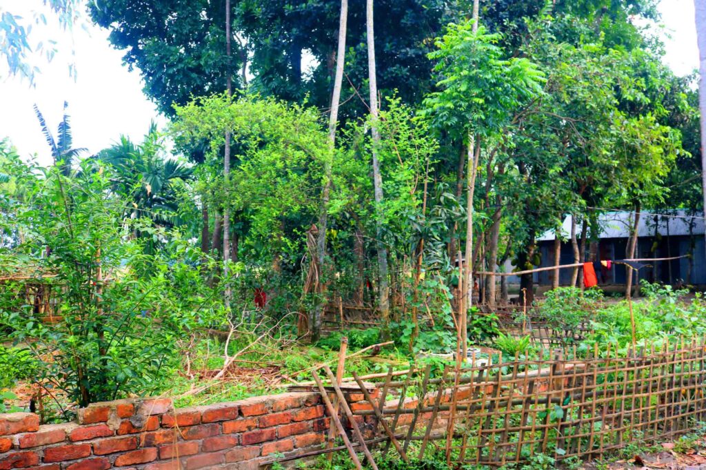 Ghar Tree village people & roads stock photos in Bangladesh - MasterBundles