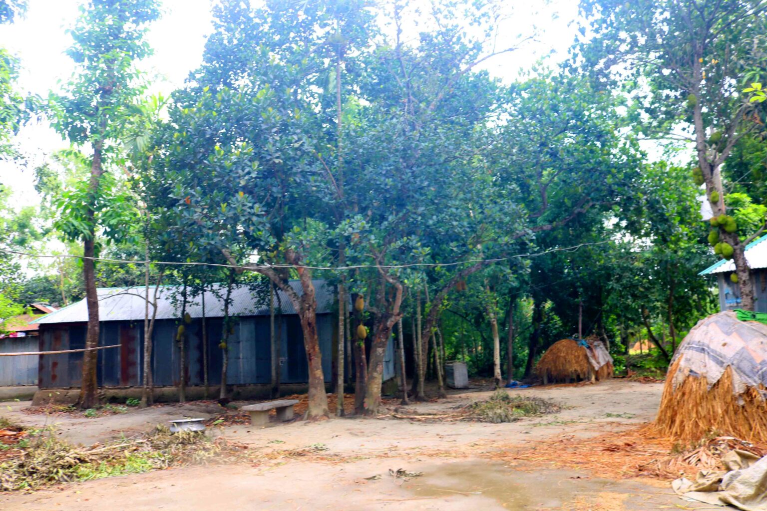 Ghar Tree village people & roads stock photos in Bangladesh - MasterBundles