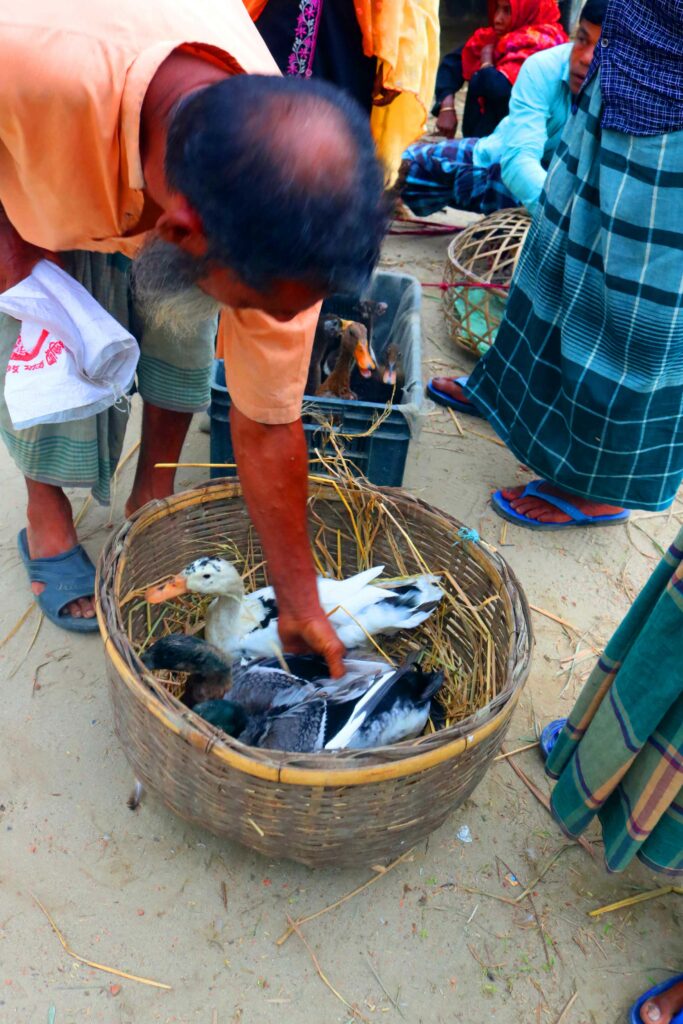 Hash Palon village Photography in Bangladesh - MasterBundles
