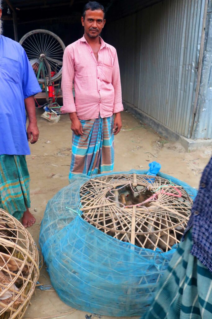 Hash Palon village Photography in Bangladesh - MasterBundles