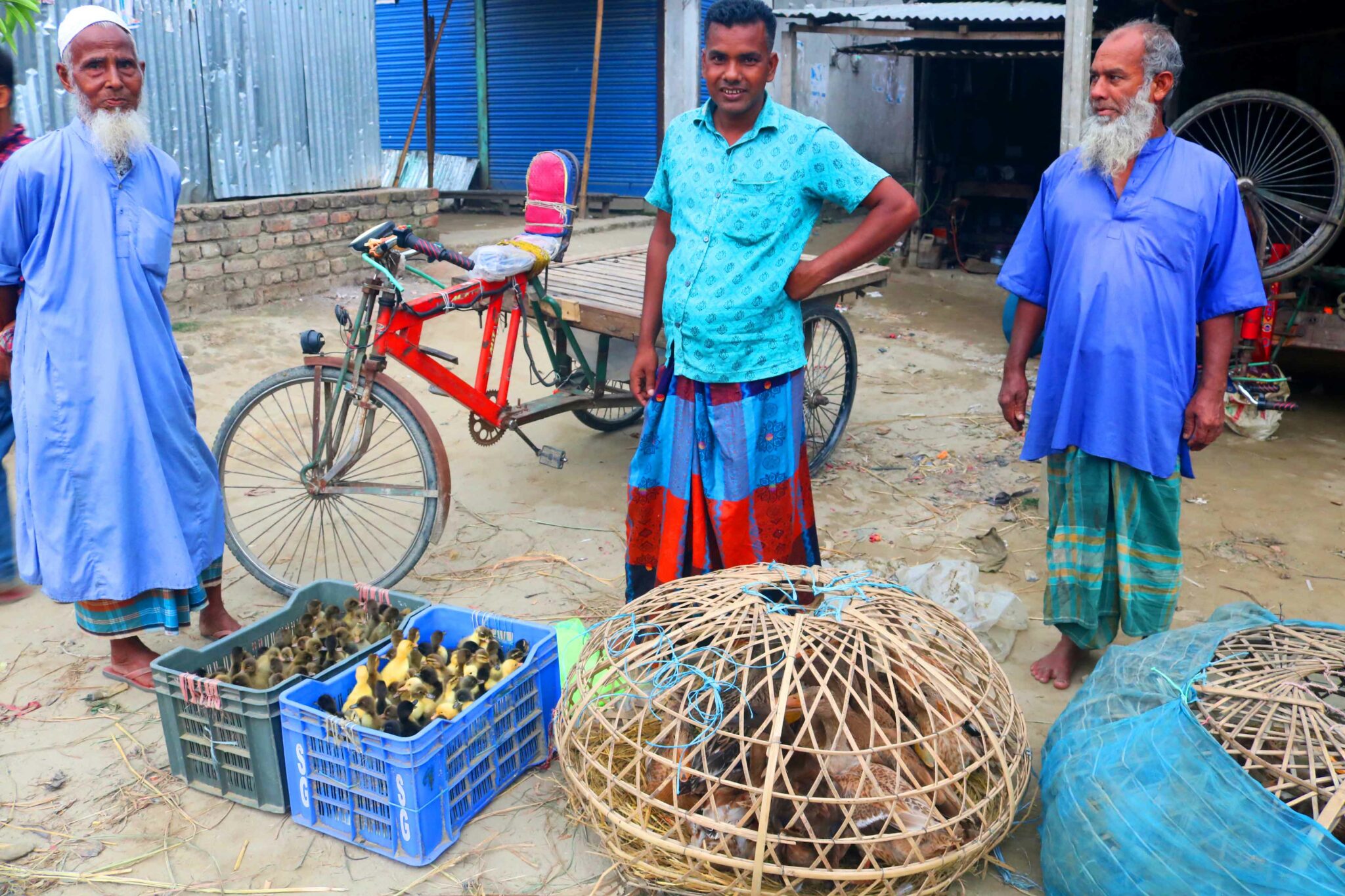 Hash Palon village Photography in Bangladesh - MasterBundles